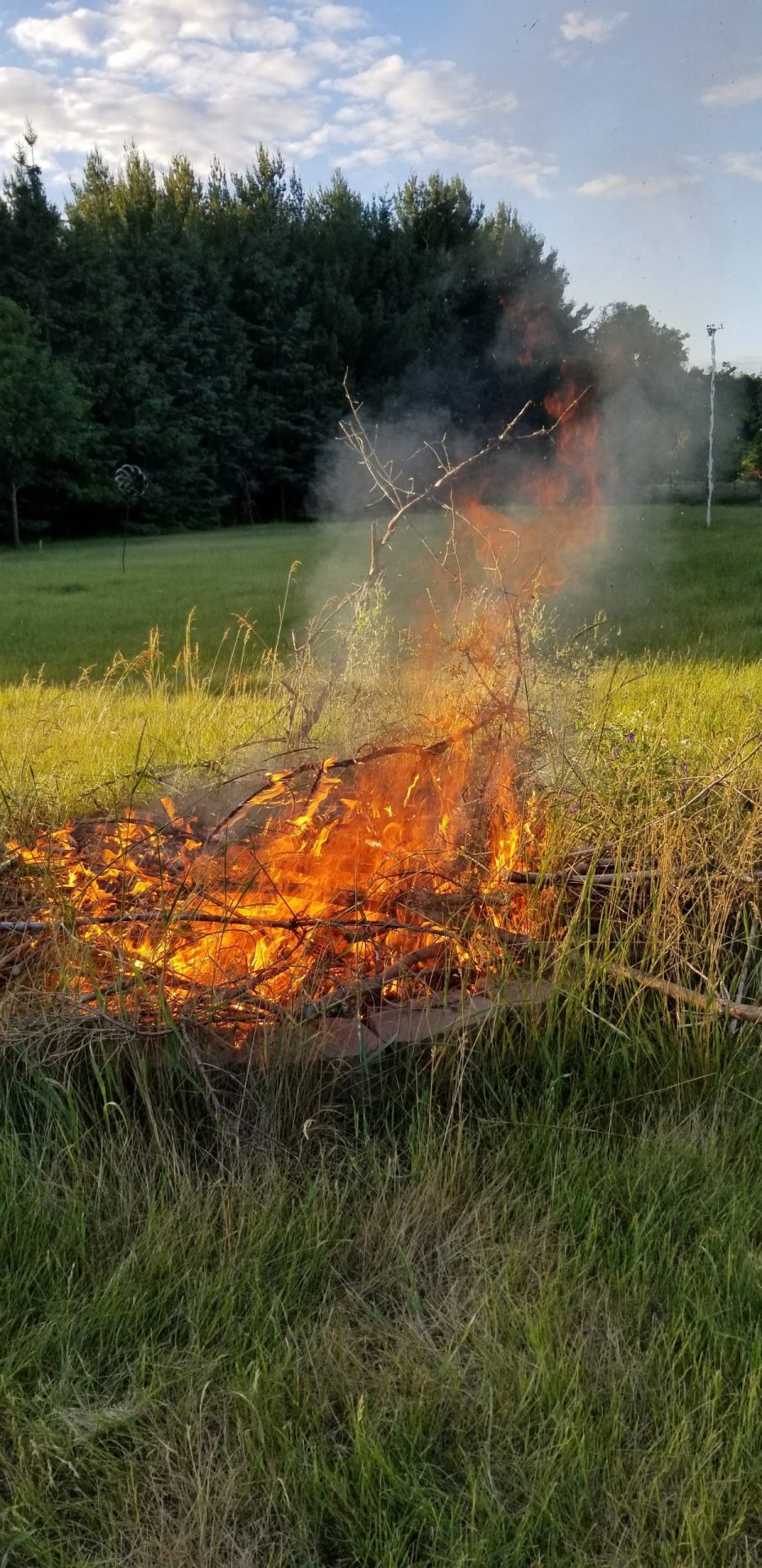 Summer Solstice.. in the sixties - Em's World